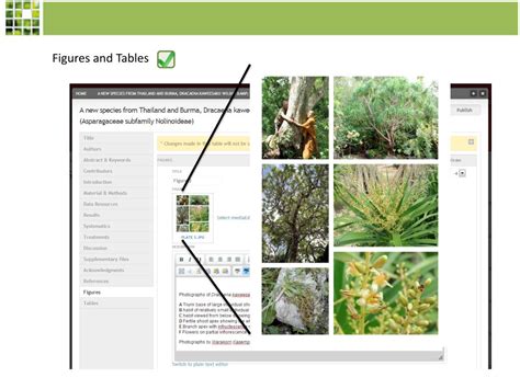 Ppt Enhancing Biodiversity Research Scratchpads And Biodiversity Data Journal Integration