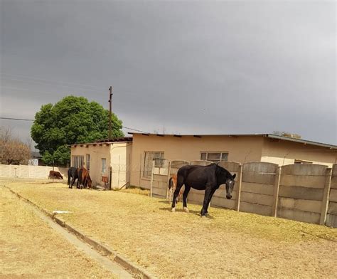 Vrystaters Moeg Vir ‘vrylopende Beeste Perde Maroela Media