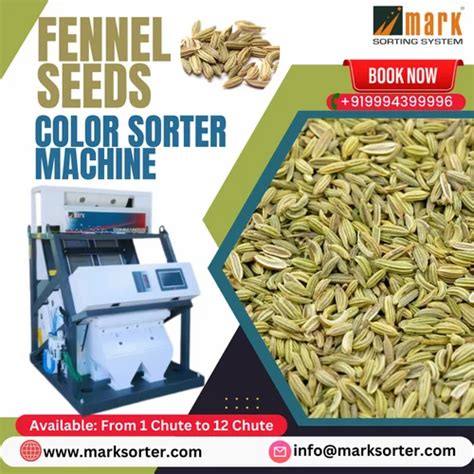 Fennel Seed Sorting Machine Fennel Seeds Color Sorter Machine Seeds Sorting At ₹ 1000000 Seed