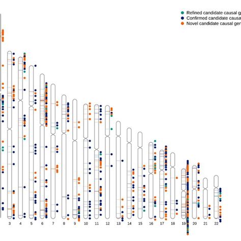 Candidate Causal Gene Assignment At Reported Gwas Loci Using Pqtls The Download Scientific