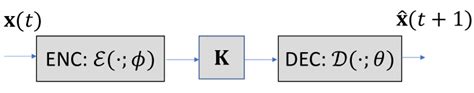 Koopman Autoencoder Via Singular Value Decomposition For Data Driven