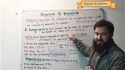 Structure Of Protein In Pashto Class 11th Biology Chapter02 Youtube
