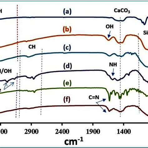 Fourier Transform Infrared Spectroscopy Ft‐ir Spectra For A Cao Download Scientific