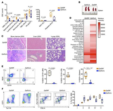 Jci The Swi Snf Chromatin Remodeling Subunit Dpf2 Facilitates Nrf2 Dependent Antiinflammatory