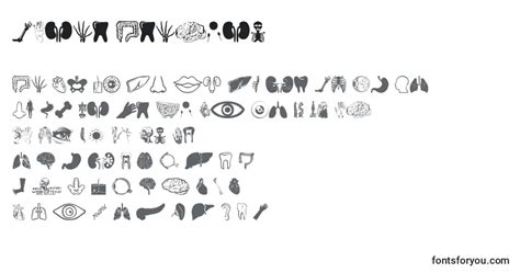 Human Anatomy Font Download For Free Online