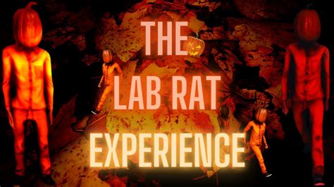 The Lab Rat Experience In SCP Secret Laboratory YouTube