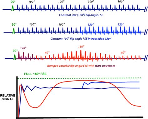 Reduced Flip Angles Questions And Answers In Mri