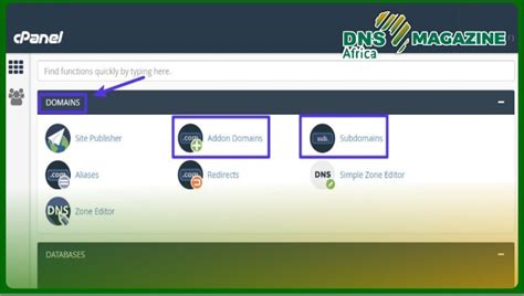 Mastering CPanel A User Friendly Guide For Website Owners DNS Africa Magazine