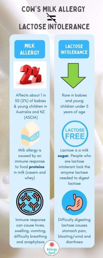 6 Milk Allergy Myths What People Get Wrong Allergy Spot