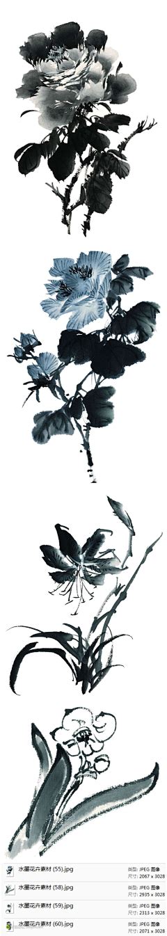 水墨画素材 花瓣网陪你做生活的设计师 水墨梅花图片素材