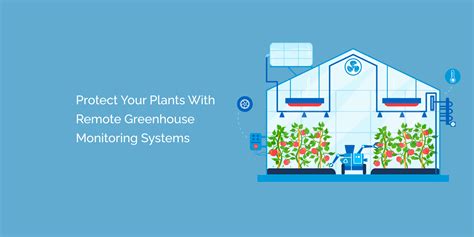 Protect Your Plants With Remote Greenhouse Monitoring Systems Tempcube