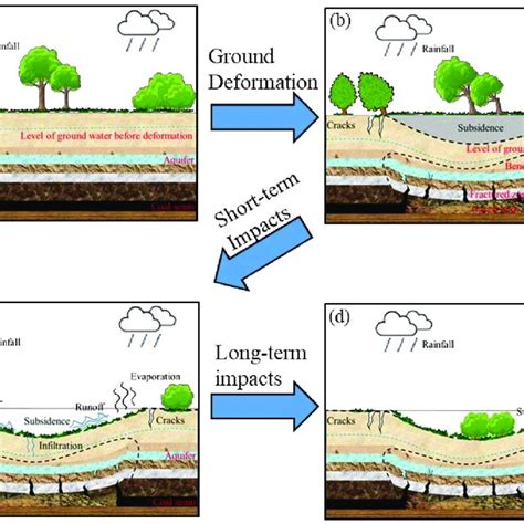 Pdf Long Term Impact Of Ground Deformation On Vegetation In An