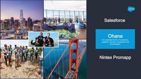 Business Process Innovation At Salesforce Our Nintex Promapp Trailblazer Journey Ppt