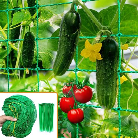 Facega Cucumber Trellis Heavy Duty Garden Trellis Netting For Climbing