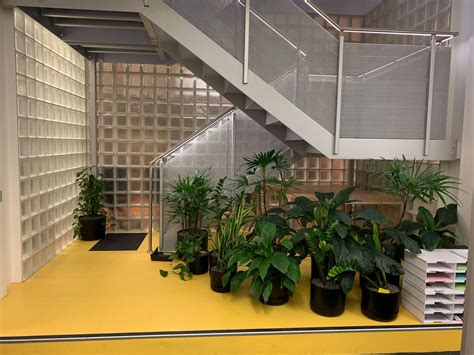 Absolute Brilliance Glass Bricks