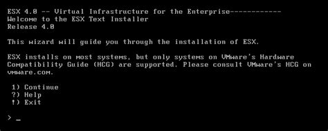 Different Options In ESX Installation