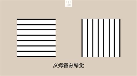 到底竖条纹和横条纹哪个更显瘦呢 知乎