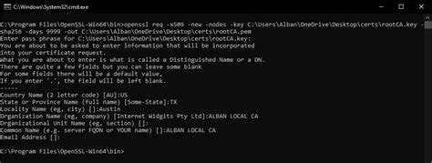 SAP ABAP Central Resolve Annoying Self Signed SSL Certificate Issue On ABAP Developer