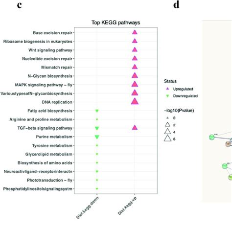 Rnaseq Analysis A Multidimensional Scaling Mds Plot Showing
