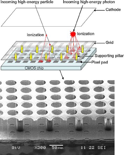 Top Schematic View Of The Detector An Ionizing Particle Creates