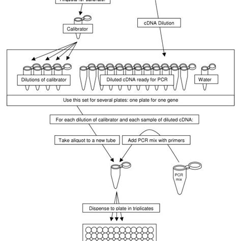 Computer Simulation Of Pcr Data Processing Computer Simulation Of Pcr
