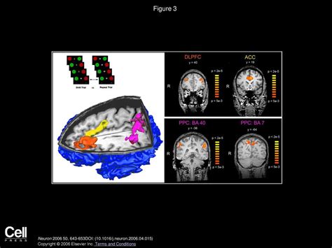 Volume 50 Issue 4 Pages May 2006 Ppt Download