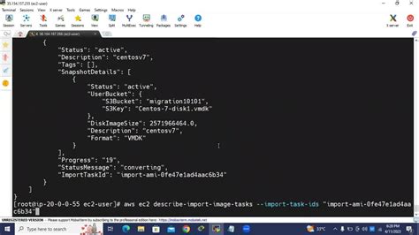 understanding the server migrations on prem to aws via vm import export