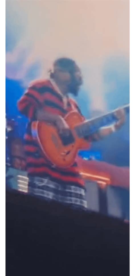 Is Chris Inserting Himself Into Sonichu Really Such A Bad Thing R