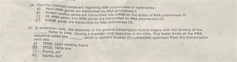Solved 24. Find the incorrect statement regarding RNA | Chegg.com