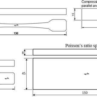 Specimen Geometry For Quasi Static Tests Dimensions Given Are In Mm Download Scientific Diagram