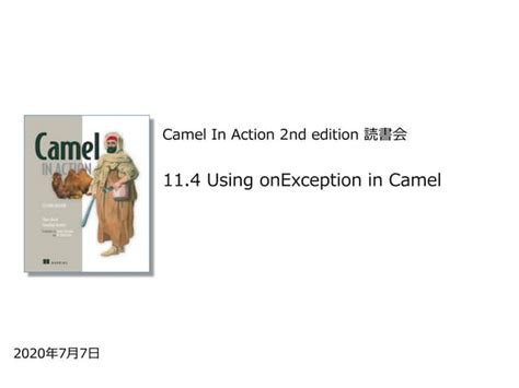 114 Camel On Exception Pdf Programming Languages Computing