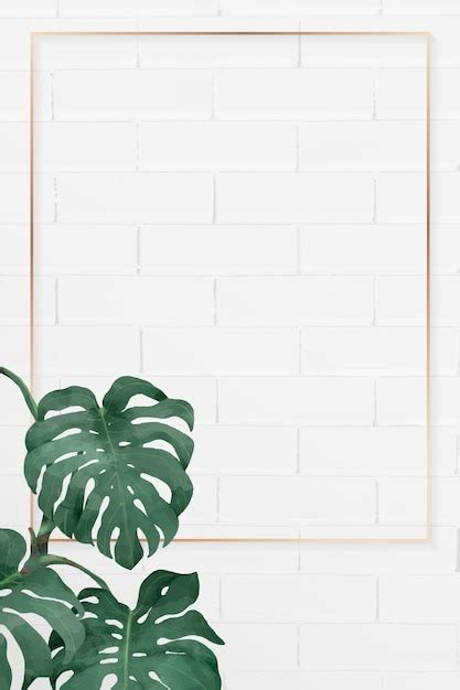 빈 사각형 몬스테라 프레임 벡터 프리미엄 벡터