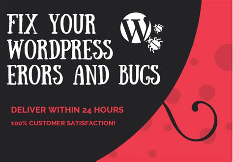 fix wordpress issues error bug or update wordpress website for 20