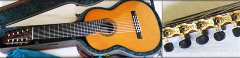 Laudarra Multi String Guitars 10 String