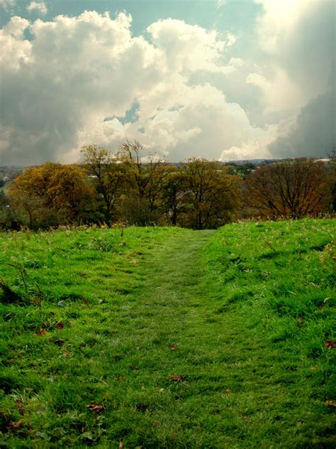 Grass Path By Cyclopsxbd On Deviantart