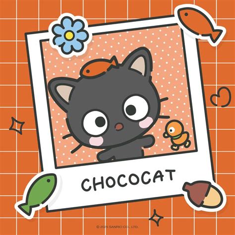 73 Chococat Ideas In 2025 Sanrio Characters Season 12 Hello Kitty