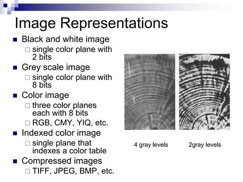 digital image representation ppt photo editing software computer