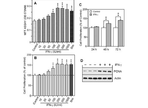 Stimulation Of Granular Precursor Proliferation By Ifn C The Primary Download Scientific