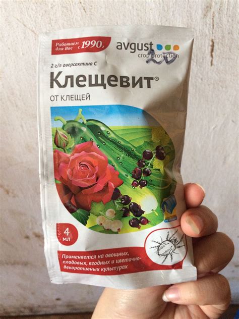 Борьба с паутинным клещом на огурцах в теплице и домашних условиях: что ...