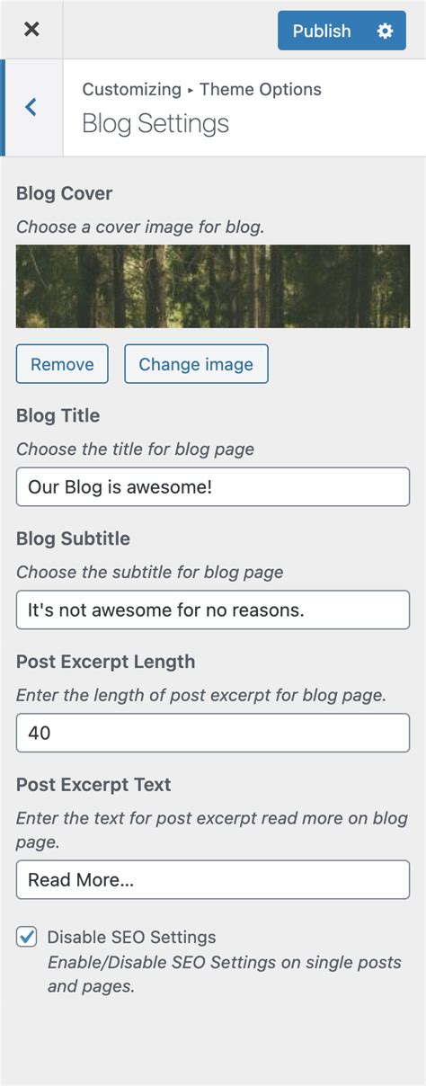 The Theme Options Panel Codestag