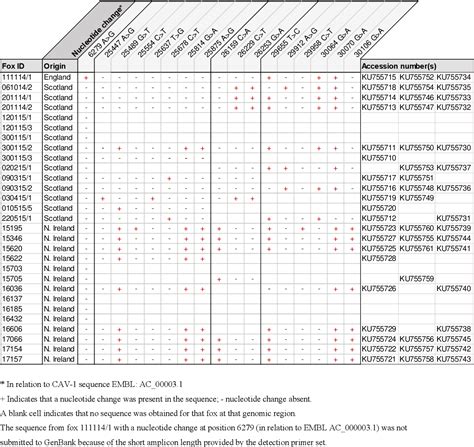 Figure 12 From Epidemiology And Pathogenesis Of Canine Adenovirus Type
