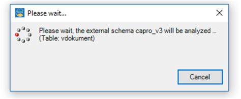 Analyzing External Schema Vizi Bpm Bpm Modeling Bpm Manager Bpm