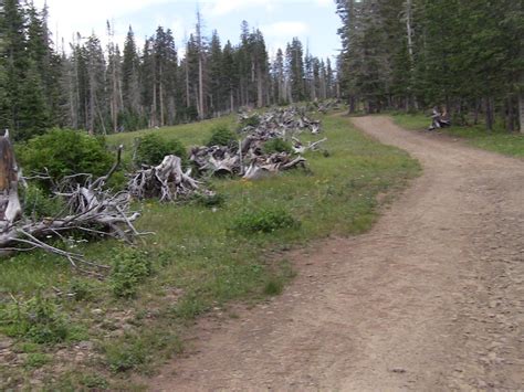 Pecos Triangle New Mexico Missing People