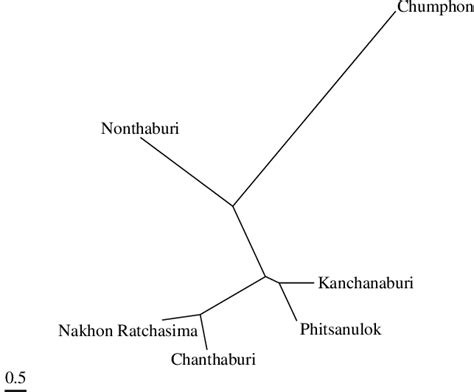 Unrooted Dendrogram Illustrating Genetic Relationships Among Six Download Scientific Diagram