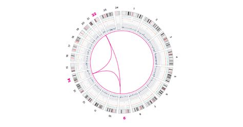 Bionano Genomics Inc On Twitter Is It Time To Replace Karyotyping