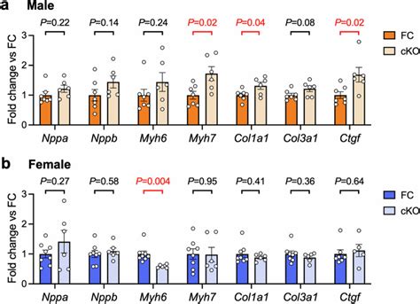 Sex Specific Regulation Of The Cardiac Transcriptome By The Protein