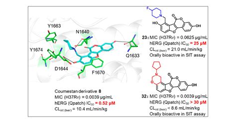 Structure Based Optimization Of Coumestan Derivatives As Polyketide Synthase 13 Thioesterase