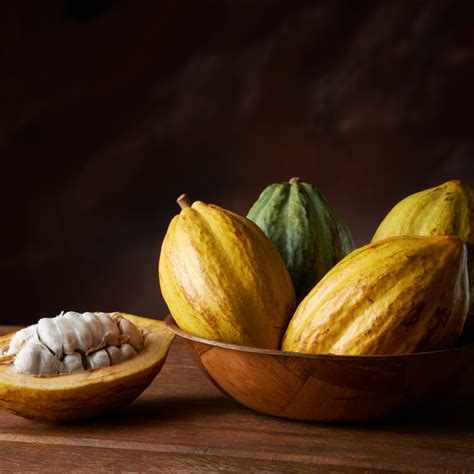 Whats The Difference Between Cacao And Cocoa