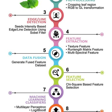 PDF The Classification Of Medicinal Plant Leaves Based On Multispectral And Texture Feature