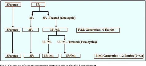 Figure 1 From Effectiveness Of Repeated Mutagenesis Of Sesame Crosses For Enhancing Polygenic